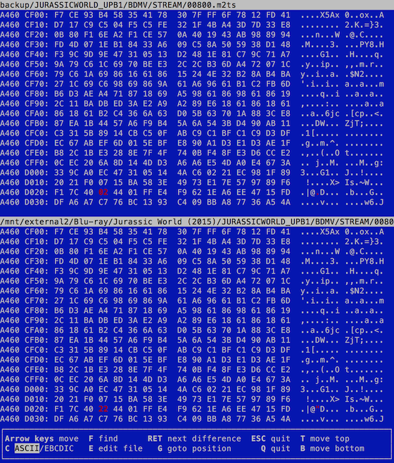 rip_vs_rip_vbindiff.png - directupload.net