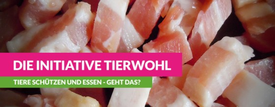 Die Initiative Tierwohl: Tiere schützen und essen – Geht das? | Für die ...