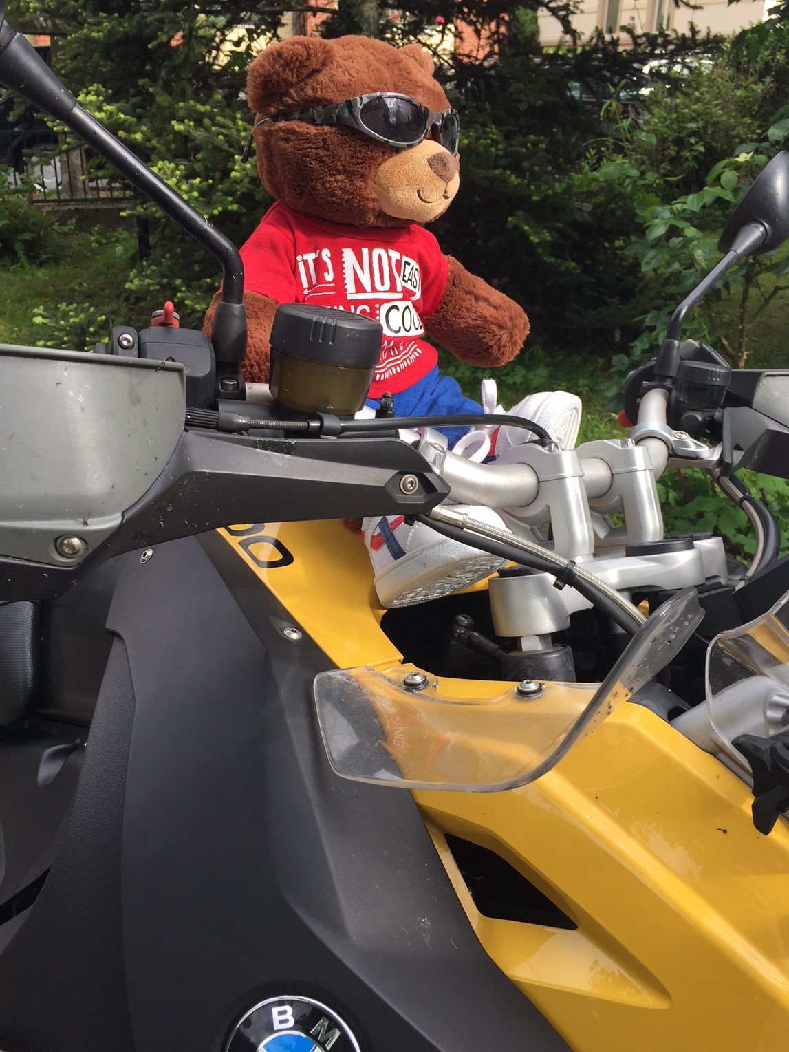 A McBear Sighting – mcbearsadventures